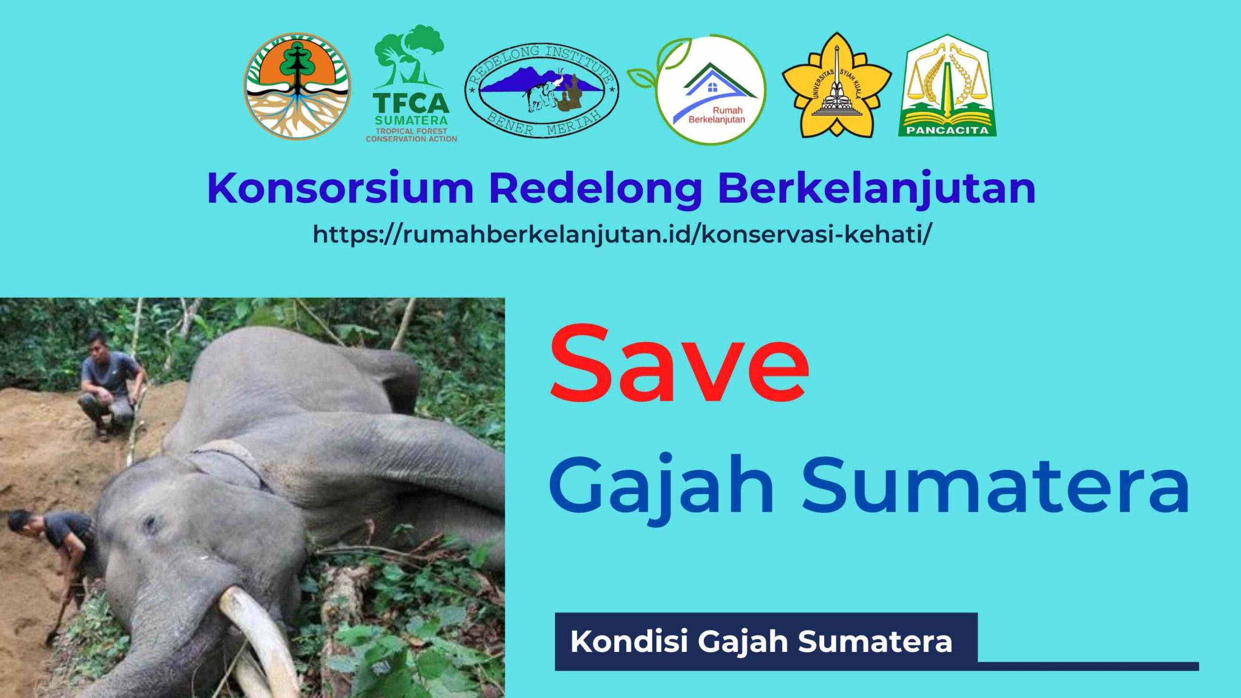 Riset Konservasi Gajah Sumatera di Aceh - Rumah Berkelanjutan